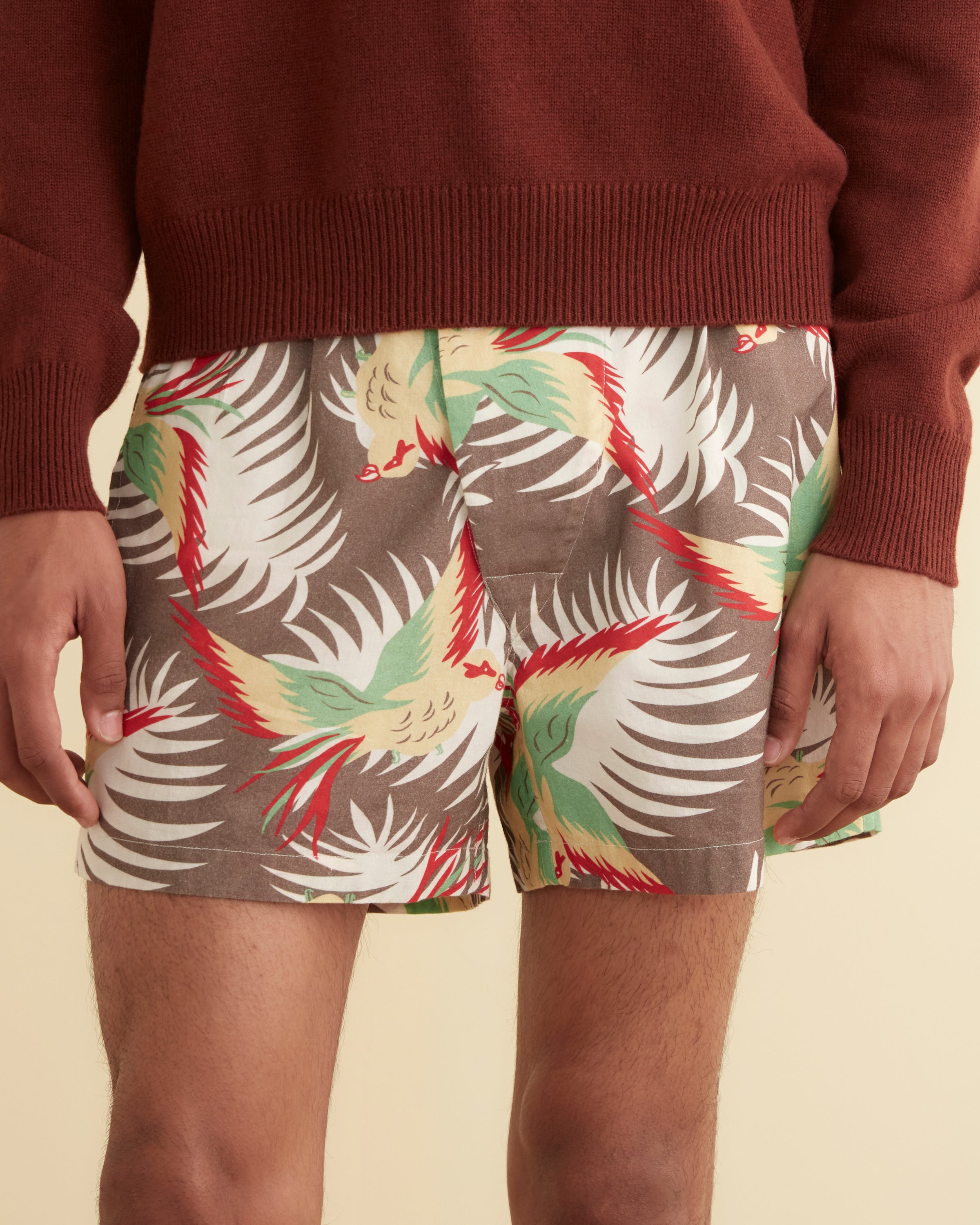 Sun Conure Boxers – BODE